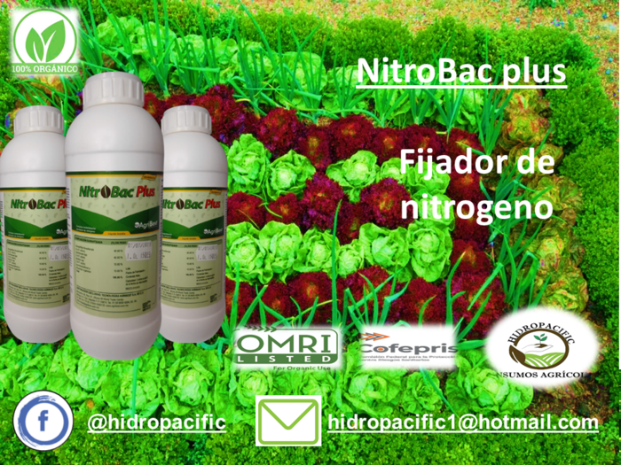 NitroBac plus :: Hidropacific.com
